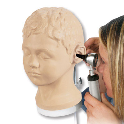 Life/Form Diagnostic and Procedural Ear Trainer - LabWorld.co.uk